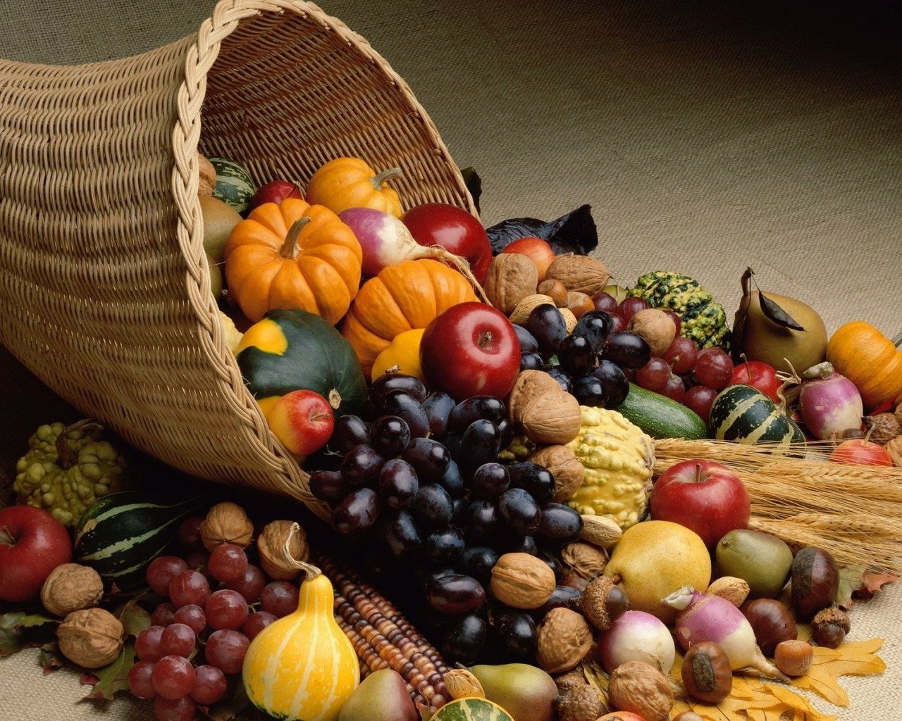Cornucopia – Water for Camels